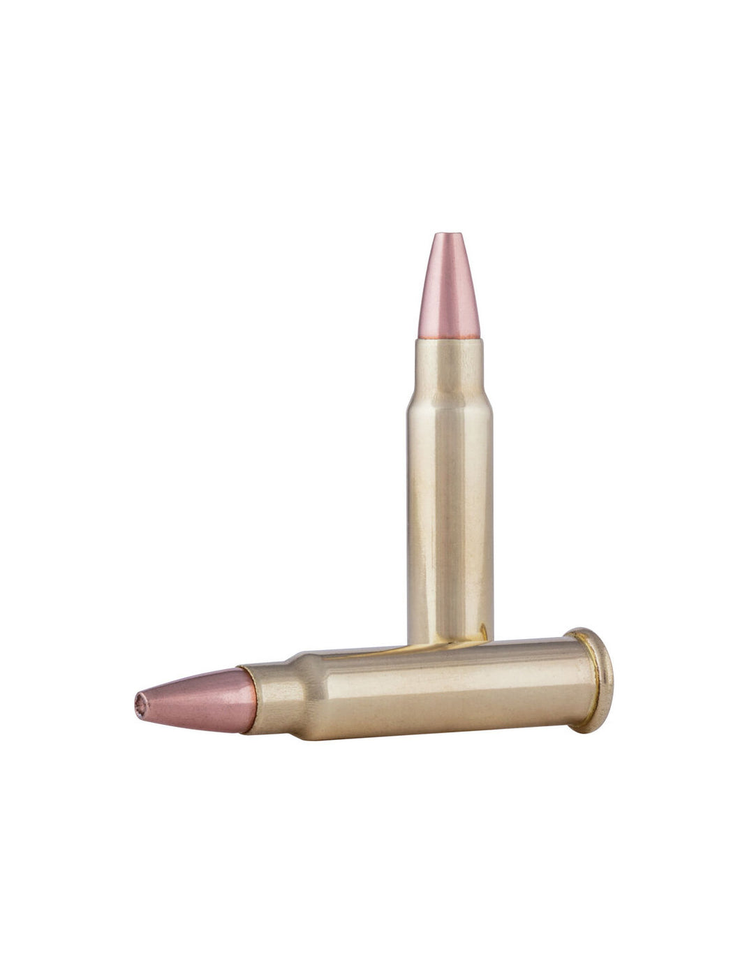 TNT Green Metallic Ammunition – Armeria Pato